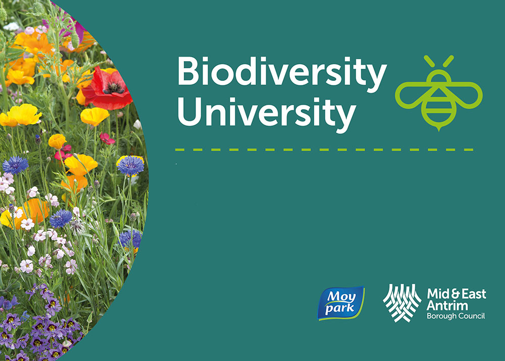 Biodiversity University Week 1 | Mid and East Antrim Borough Council
